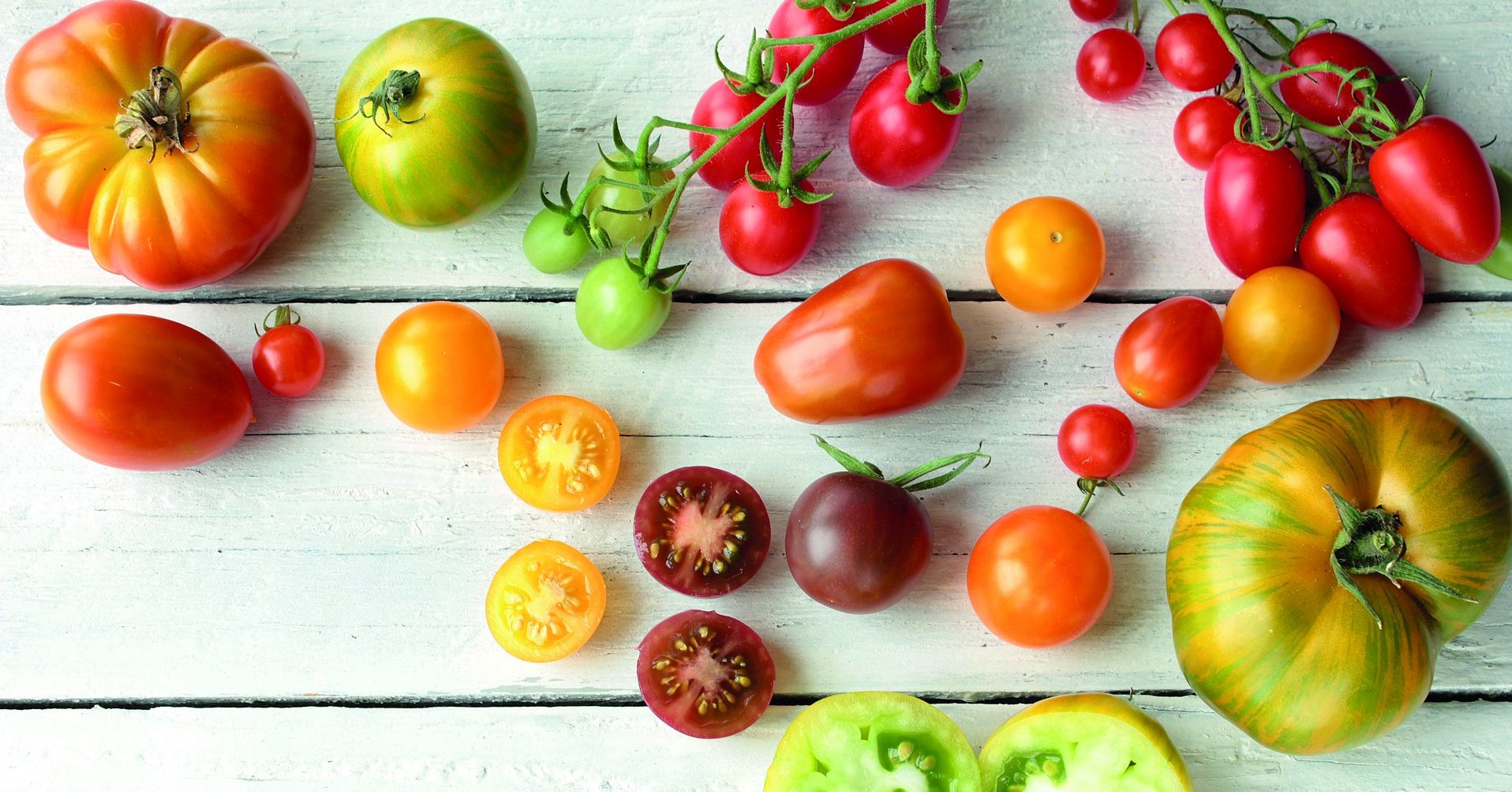 „Tomatl“ - Ein Geschenk der Azteken